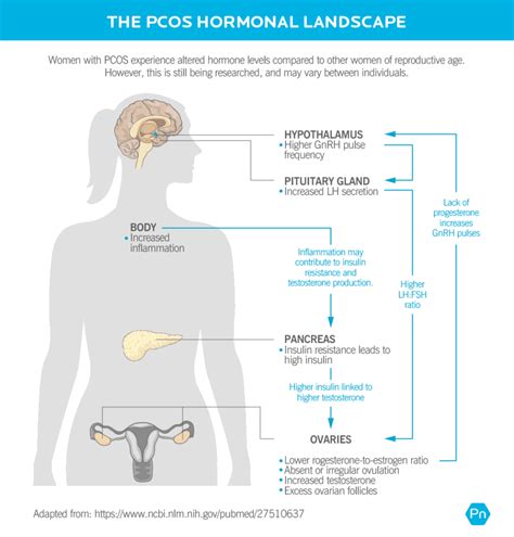 Inositol Complex Myo And D Chiro Inositol With Folate And Chromium 180 Ca