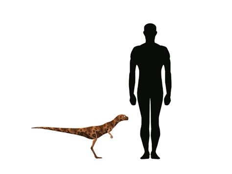 Fabrosaurus Paleontology World