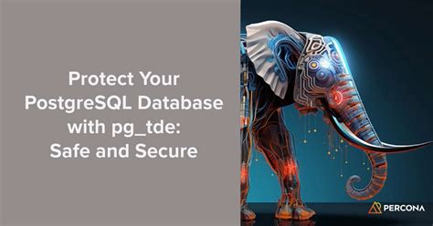 Protect Your Postgresql Database With Pgtde Safe And Secure