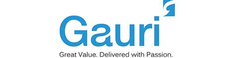 Salesforce Consultant Gauri
