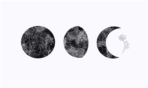 달이 있는 일러스트레이션은 흰색 배경에 고립된 딜 플라워와 함께 흑백으로 텍스처 수채화를 선적시합니다 꽃 식물에 대한 스톡 벡터 아트 및 기타 이미지 Istock