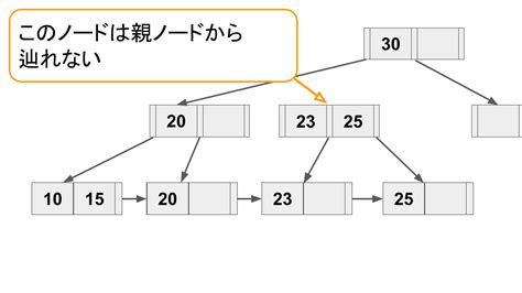 入門 B Link Tree