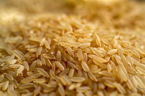 Rice Frame Images Free Photos Png Stickers Wallpapers And Backgrounds