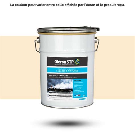 Peinture siloxane façade Peinture hydrofuge exterieur Oléron STP