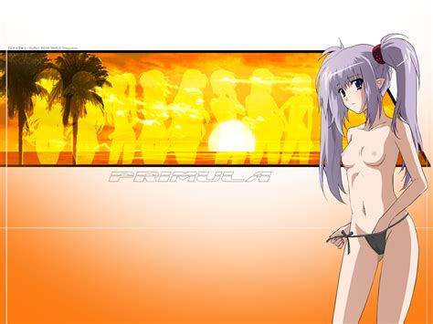 Rule 34 1600x1200 Female Only Primula Shuffle Tagme Wallpaper 547659