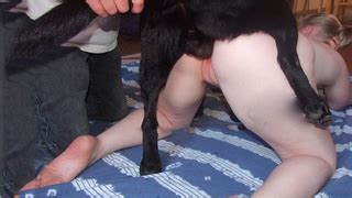 First Time Extreme Sex Videos