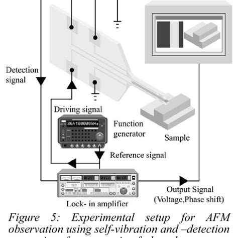 Schematic View Of The Quartz Tuning Fork Afm Probe Download