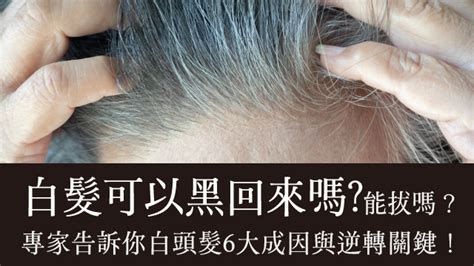 白頭髮可以黑回來嗎？可以拔嗎？專家告訴你白頭髮6大成因與逆轉關鍵！ Fb Shop台塑生醫官方商城