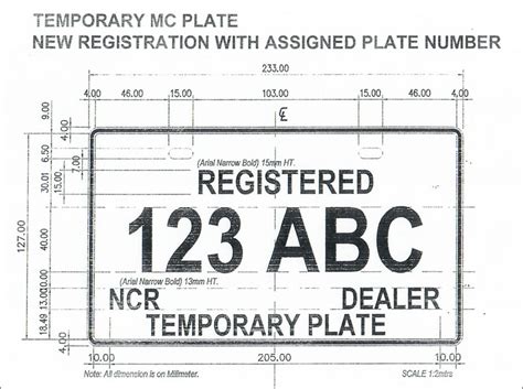 How Temporary License Plates Are Supposed To Look Like According To Lto