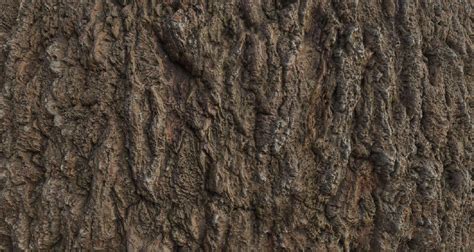 Tree Bark 001 Pbr Texture By Radju