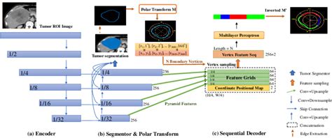 Overview Of Our Tumor Boundary Semantics Modeling Framework Download Scientific Diagram