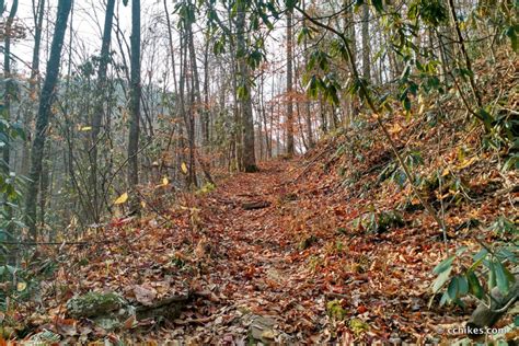 Coldspring Branch And Bill Kimball Loop 4 5 Miles • C C Hikes