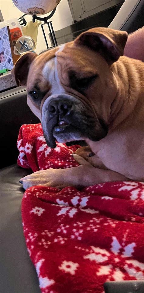 Henrys Blog Henry Aure Substack