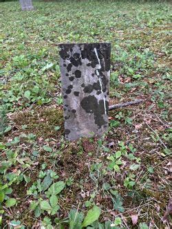 John Wesley Scruggs 1797 1861 Mémorial Find a Grave