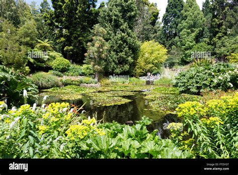 Royal Tasmanian Botanical Gardens Hobart Tasmania Australia Stock