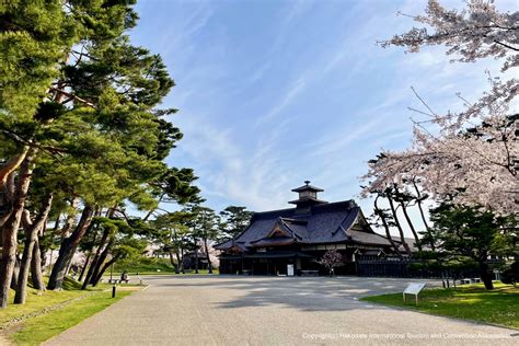 五稜郭公園（桜）05 ライブラリー 函館・みなみ北海道観光ガイド