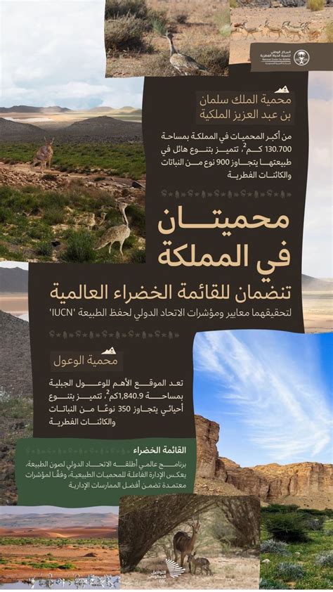 Mohammed Al Qahtani Posted On Linkedin