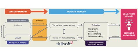 Skillsoft Percipio Lrmg