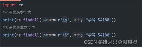 【python】正则表达式 快速信息匹配，过滤与检测正则匹配过滤 Csdn博客