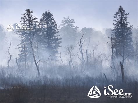 Хөвсгөл аймагт гарсан ойн түймрийг үүрээр цурманд оруулжээ Isee Mn
