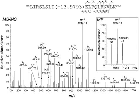 Mass Spectrometric Analysis Of The Covalent Enzyme Substrate
