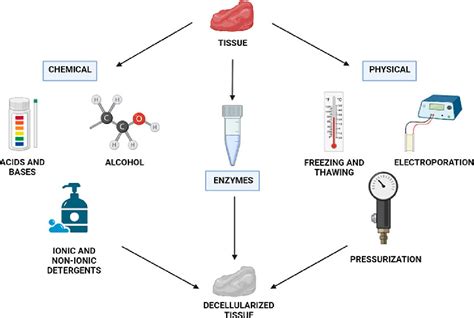 Figure 1 From Applications Of Light Based 3d Bioprinting And Photoactive Biomaterials For Tissue