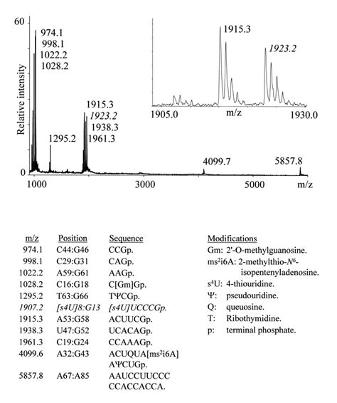 Maldi‐tof Mass Spectrum Of Li Trnatyrii Digested With Rnase T1 The