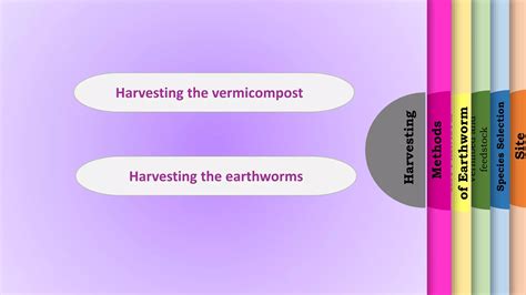 Methods Of Vermicomposting Pptx