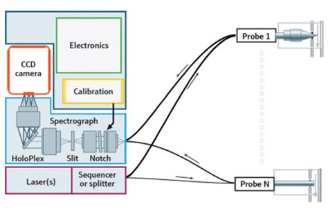 Raman Spectroscopy Vs Gas Chromatography Gc For Lng Transport Endress Hauser