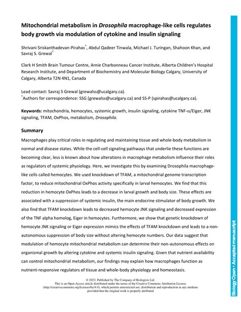 Pdf Mitochondrial Metabolism In Drosophila Macrophage Like Cells