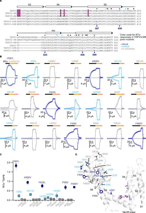 Figures And Data In Conserved Allosteric Pathways For Activation Of