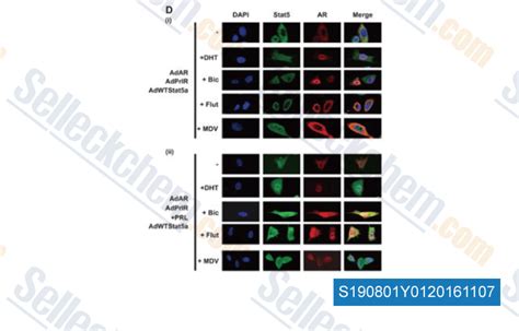 Androgen Receptor抑制剂 Androgen Receptor Inhibitor