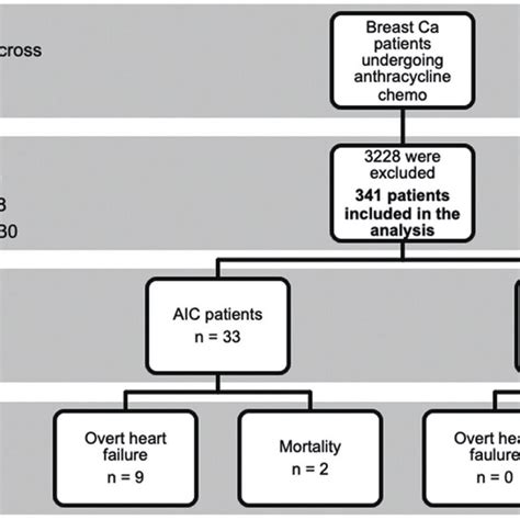 The Study Flow Diagram Of Patient Selection And Clinical Outcomes