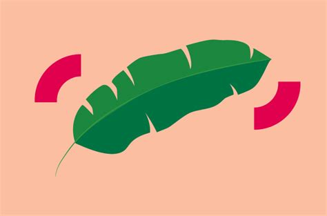 Jarang Diketahui Ini 5 Manfaat Daun Pisang Untuk Kesehatan