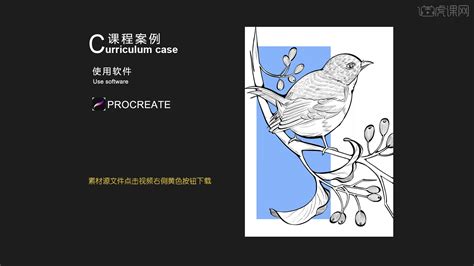 Procreate 线条入门 小场景线条训练 绘画插画教程procreate5x 虎课网