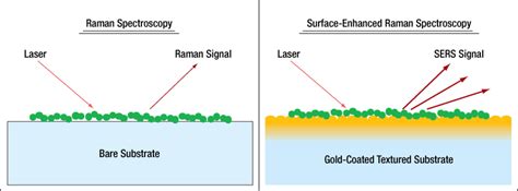 surface enhanced raman spectroscopy sers substrate