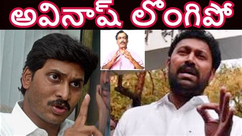 Ground Report Ys Avinash Reddy Vs Cm Jagan Reddy Ap Ysrcp News
