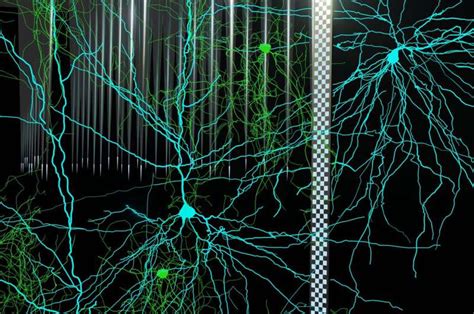 New Protocols To Record Neural Activity Using Neuropixels In Clinical