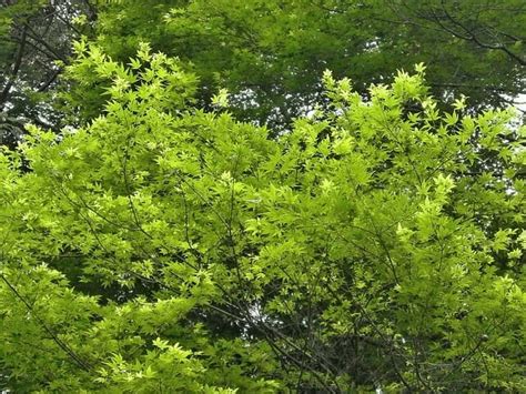 Spring Bootでjqueryのajaxを利用してみた｜itエンジニアとして経験・学習したこと