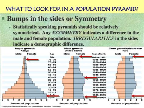 Ppt Population Pyramids Powerpoint Presentation Free Download Id