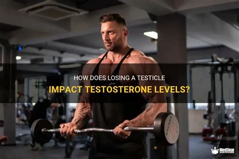 How Does Losing A Testicle Impact Testosterone Levels Medshun