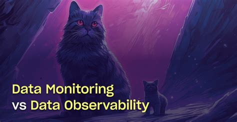 Data Monitoring V Data Observability Metaplane