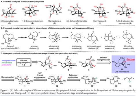 Jacs：illicium型倍半萜天然产物的全合成 化学空间 Chem Station