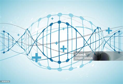 科學範本dna 分子背景向量圖形及更多人圖片 人 人類基因組碼 人體構造 Istock