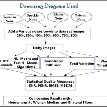 PDF Noise Reduction In Medical Images Comparison Of Noise Removal Algorithms