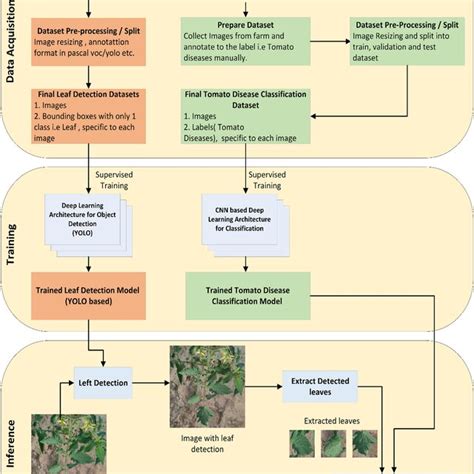 The End To End “tomato Disease Classification Detection Download