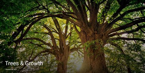 The Top 5 Happy Eco News Stories For October 31 2022 Happy Eco News