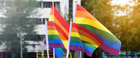 Bandeiras Do Arco íris Símbolo Da Diversidade De Gênero Lgbt