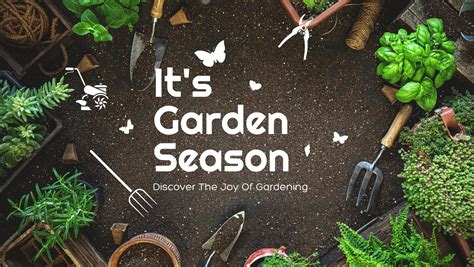 😮‍💨🍃 Soothe Your Throat And Relieve Your Cough With Vedistrys Kofol Chewable Tablets 🌿