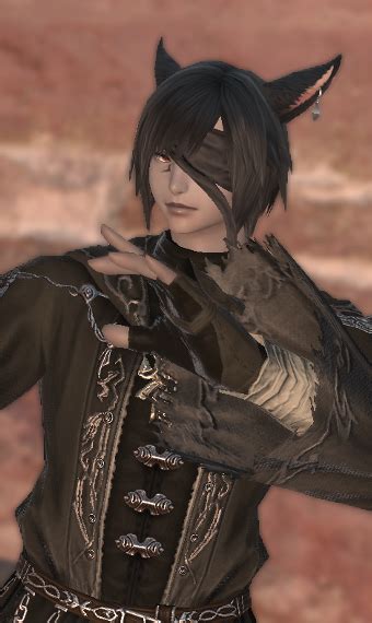 Solemn Hour Eorzea Collection